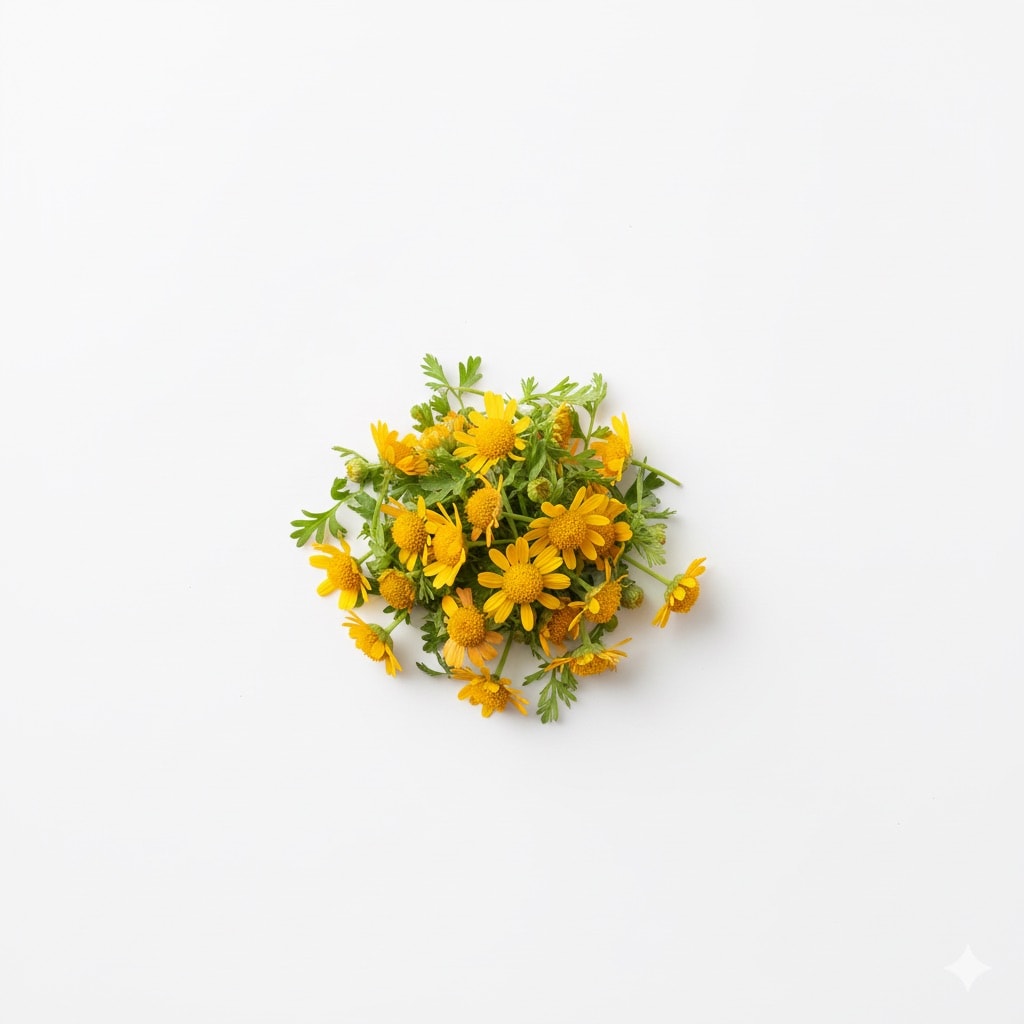 Chrysanthellum Indicum Extract - Complete by Dr SCS
